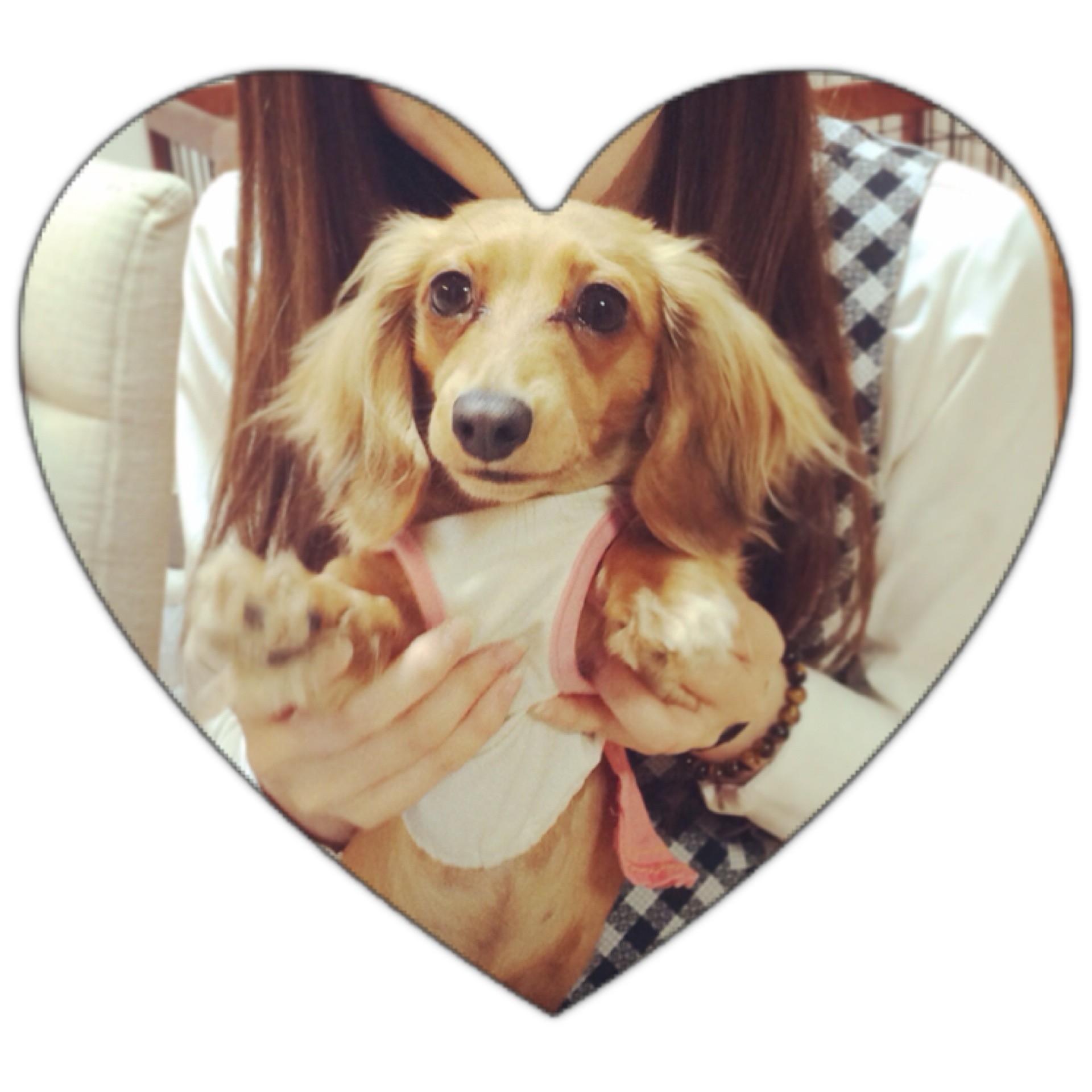 リリー＆ここ君！: MONE MONE CLUB